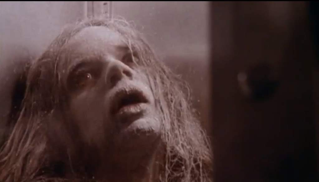 Soska Sisters Board Remake of David Cronenberg's Rabid! - Wicked Horror