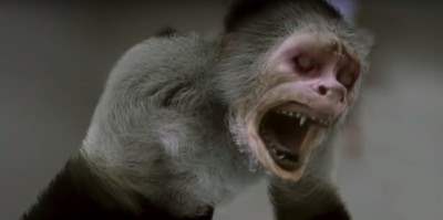 Review: Zoombies is an Action-Packed Thriller That Delights And ...