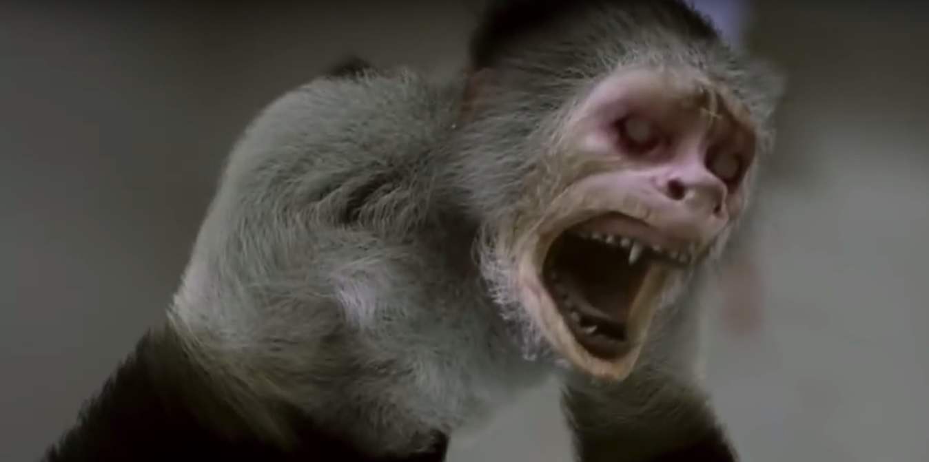 Review: Zoombies is an Action-Packed Thriller That Delights And ...