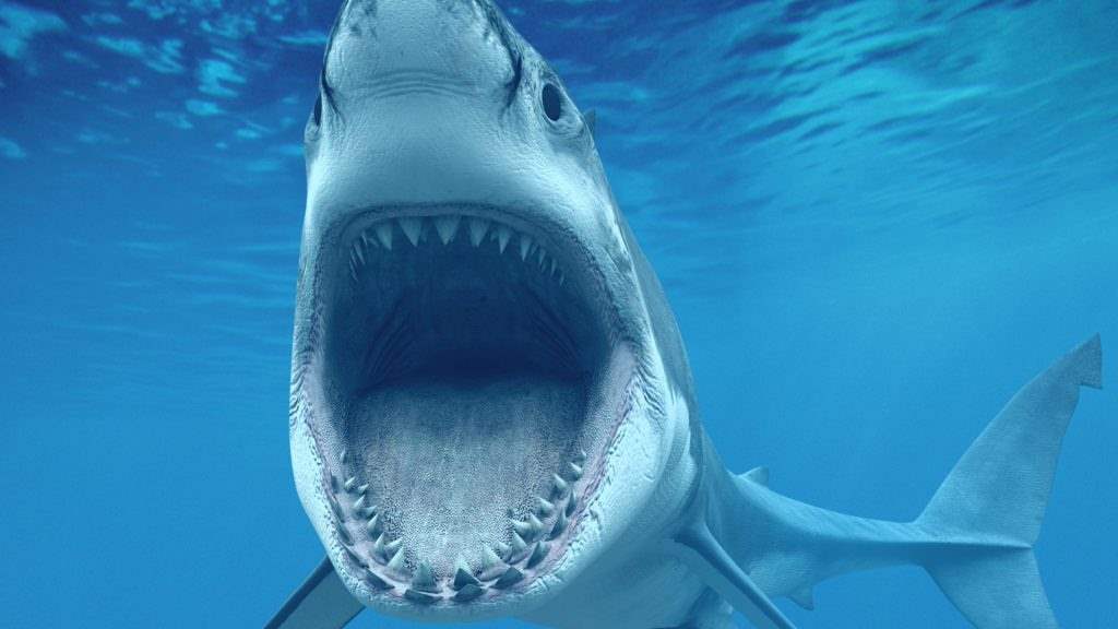 Jason Statham Calls Meg a Cross Between Jaws and Jurassic Park