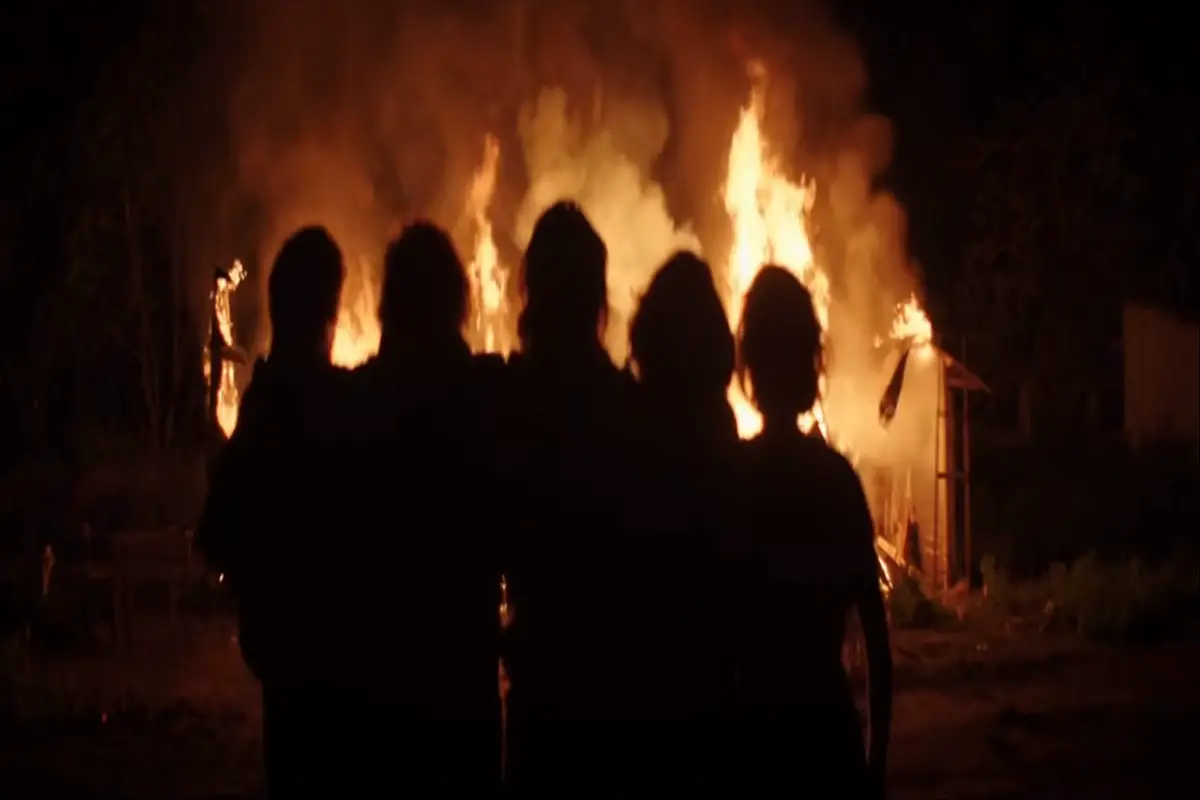 We is Superb Arthouse Sleaze from The Netherlands - Wicked Horror