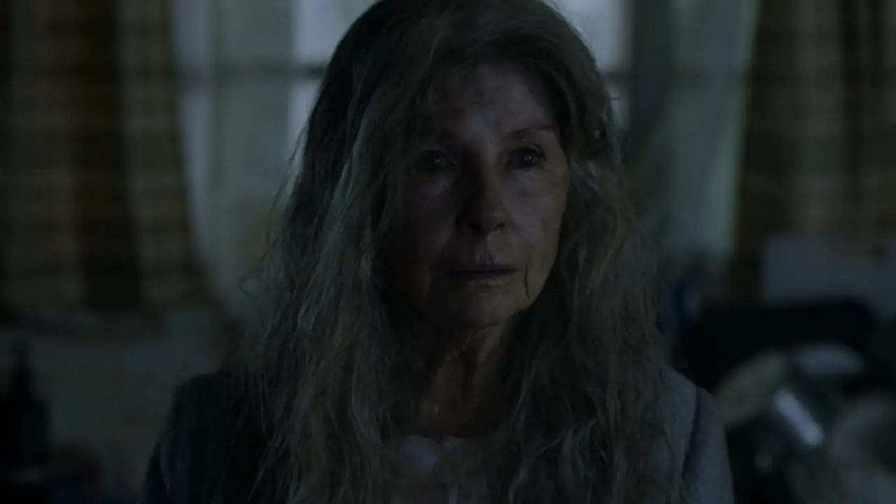 A Roundtable Discussion with the Director and Cast of "The Bizarrely ...