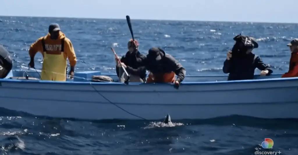 Eli Roth’s “Fin” is a Must-See Documentary for Shark Week