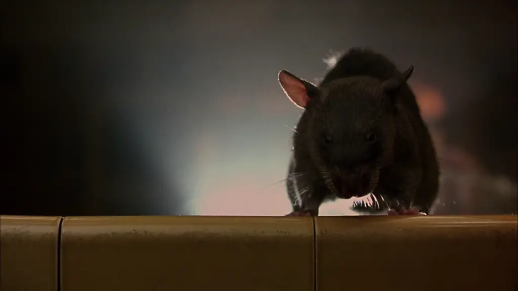 Ten of the Most Memorable Killer Creatures in Horror Movies - Wicked Horror