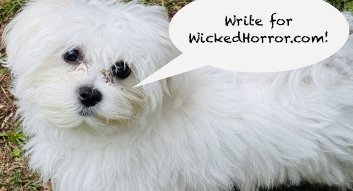 Write for Wicked Horror! - Wicked Horror